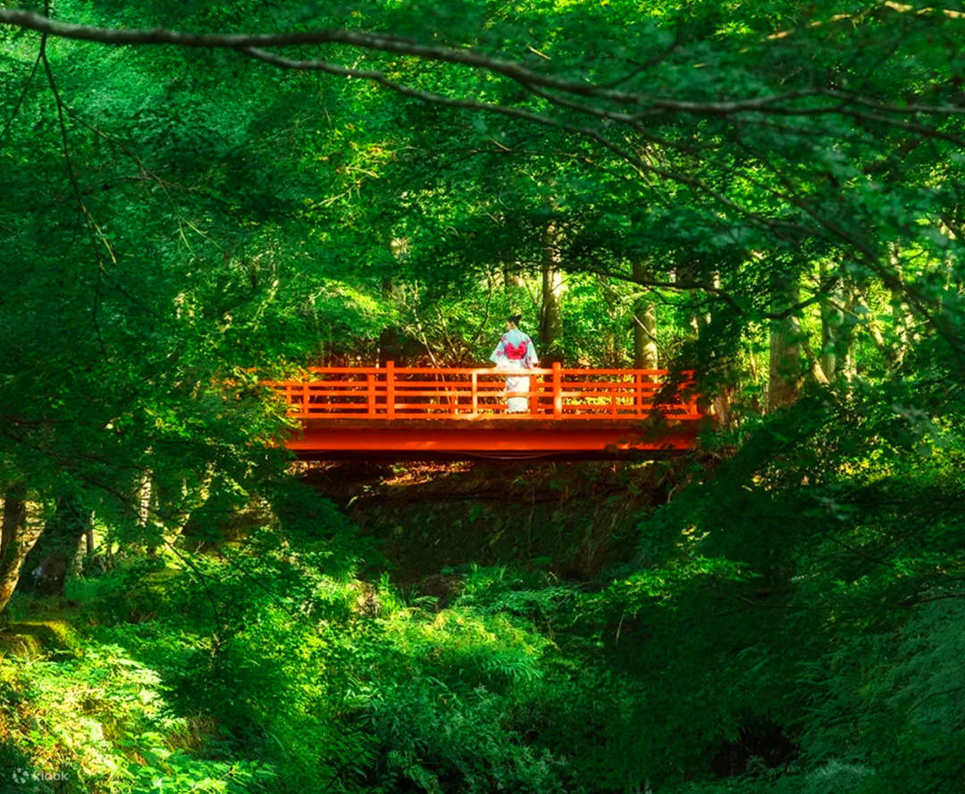[Summer Limited] Kyoto Summer Cooling Day Tour | Kibune Shrine Visit ...